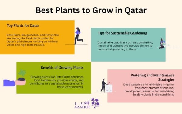 Best Plants to Grow in Qatar - Discover Top 5 Plants